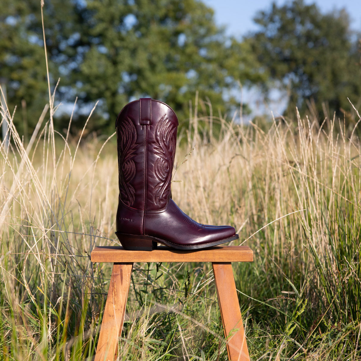 Western Boots Plum – Dandelie